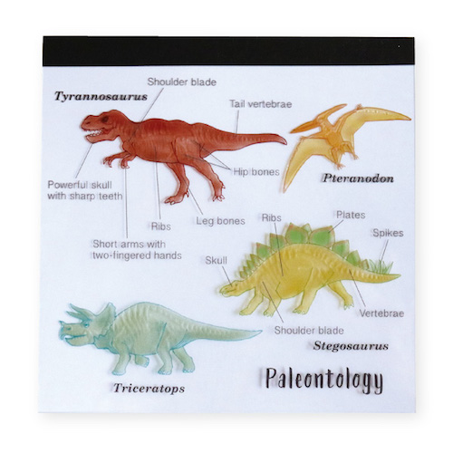 グリーンフラッシュ（GreenFlash） STUDY HOLIC メモパッド・スクエア ST−029 鉱物学｜【ハンズネットストア】