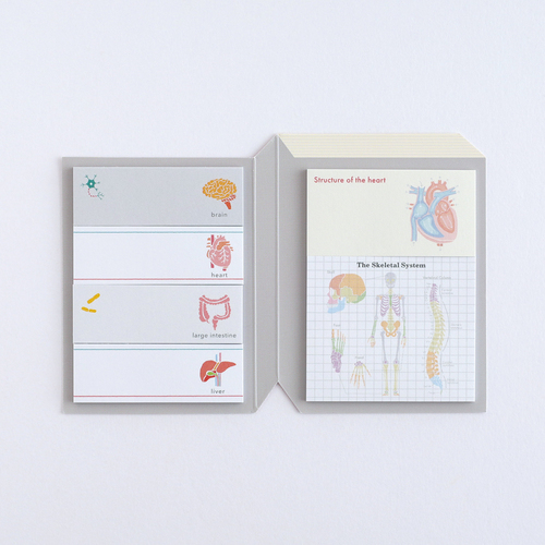 グリーンフラッシュ（GreenFlash） STUDY HOLIC スティッキーブック ST－316 人類生物学｜【ハンズネットストア】