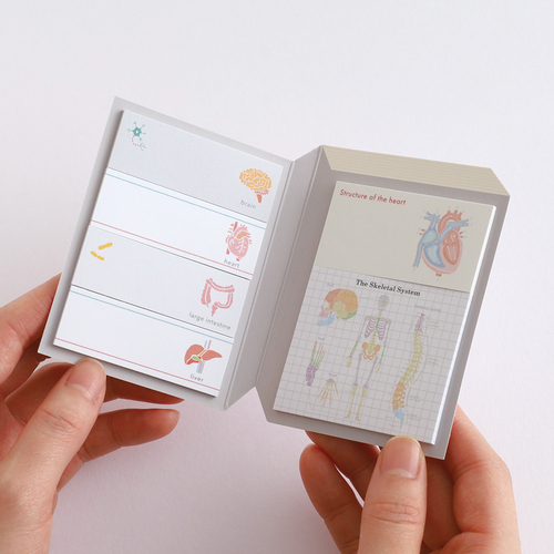 グリーンフラッシュ（GreenFlash） STUDY HOLIC スティッキーブック ST－316 人類生物学｜【ハンズネットストア】