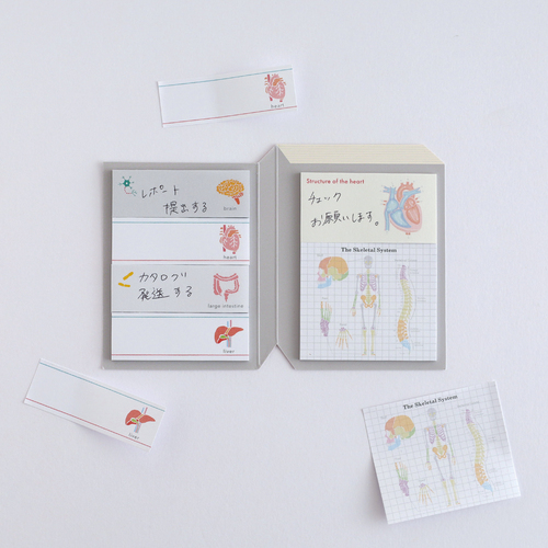 グリーンフラッシュ（GreenFlash） STUDY HOLIC スティッキーブック ST－316 人類生物学｜【ハンズネットストア】