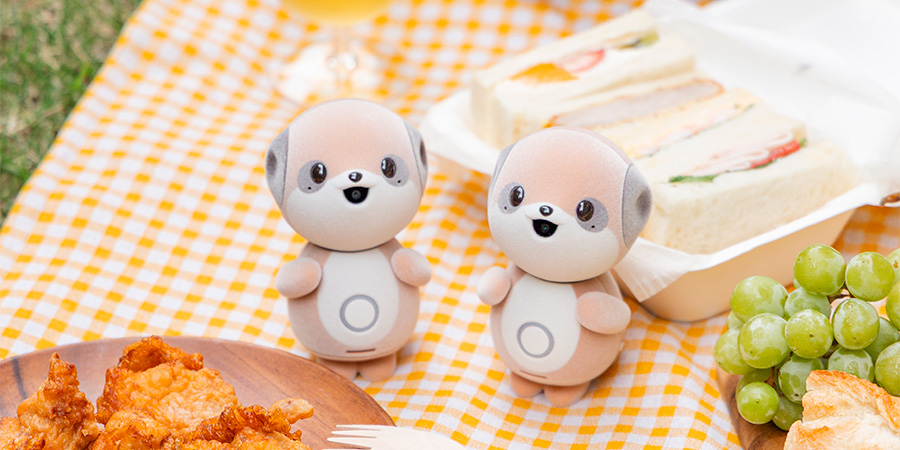 シャープ ポケとも SR－C01M－W 【取寄商品】順次発送｜【ハンズネットストア】